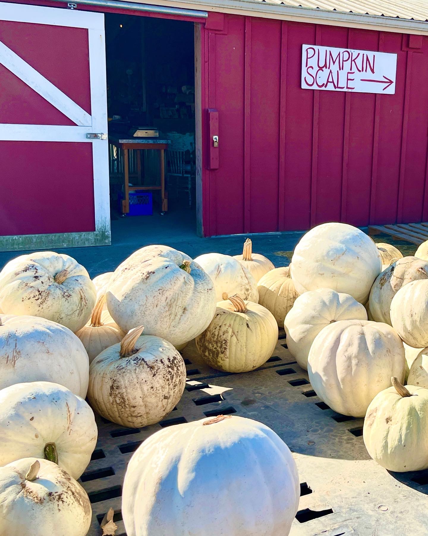 Schilter Family Farm – Redeemingbeautyfamilyadventures