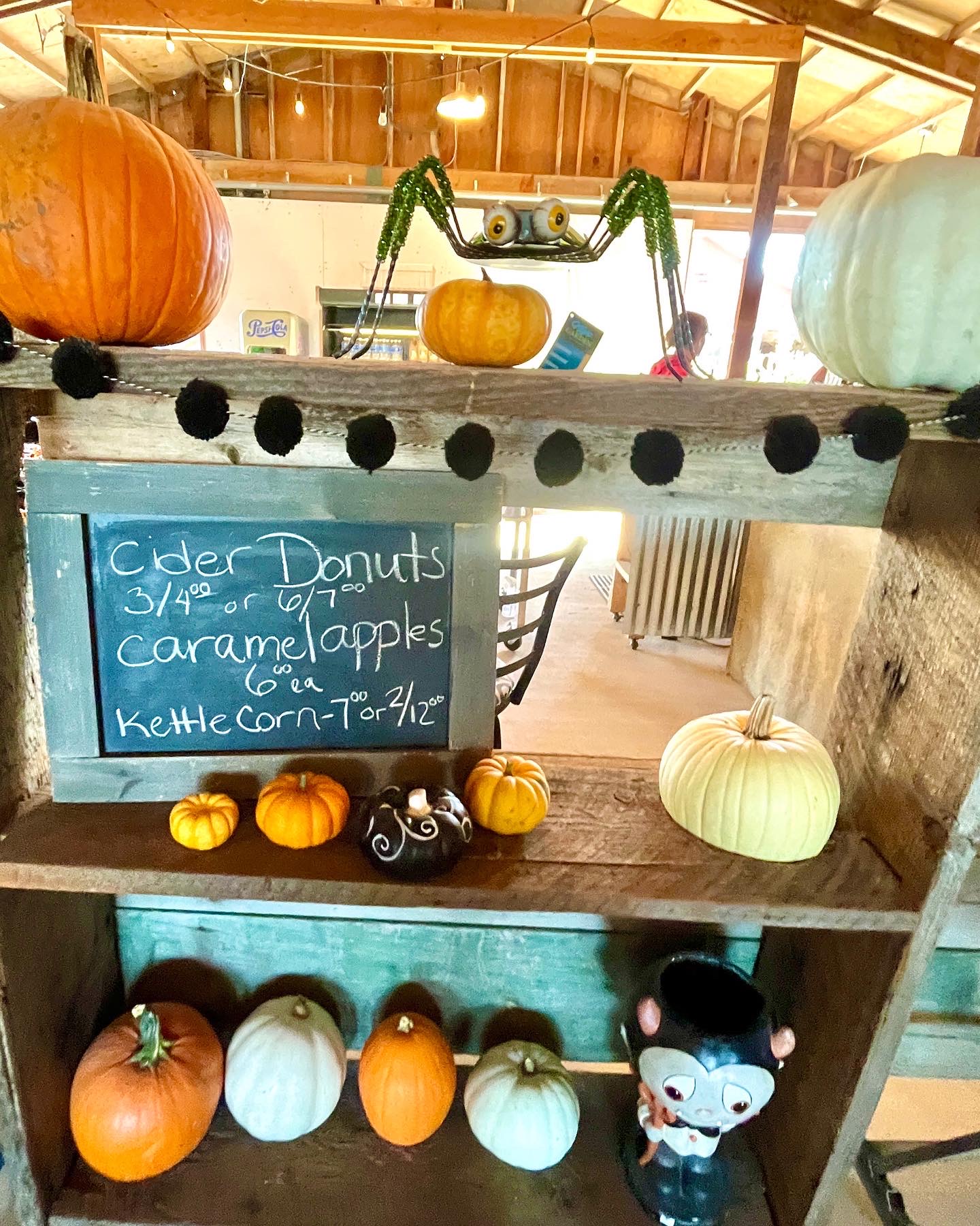 Schilter Family Farm – Redeemingbeautyfamilyadventures