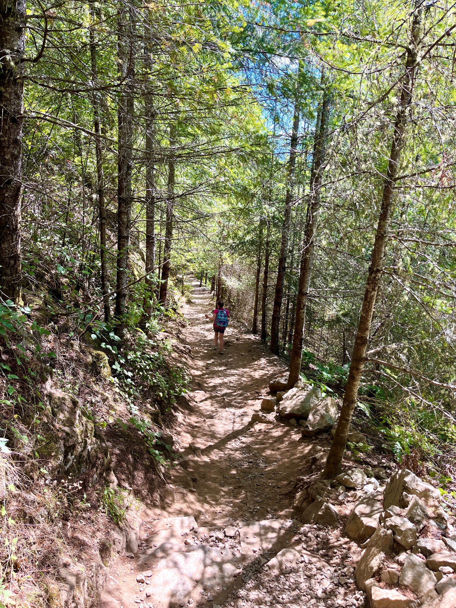 Hiking – Redeemingbeautyfamilyadventures