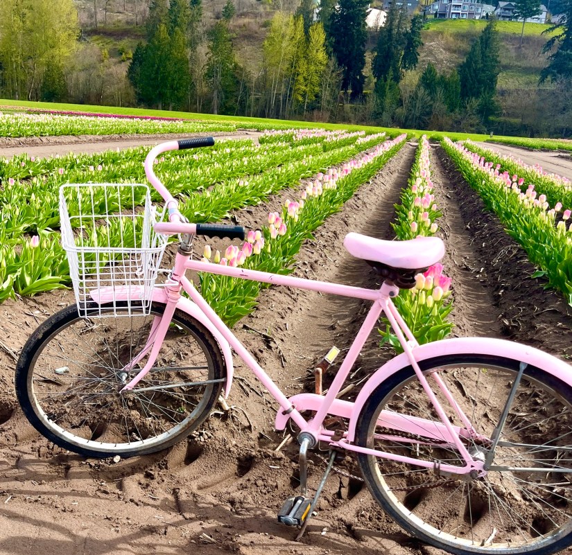 Spring Bloom at Knutson Farms – Redeemingbeautyfamilyadventures