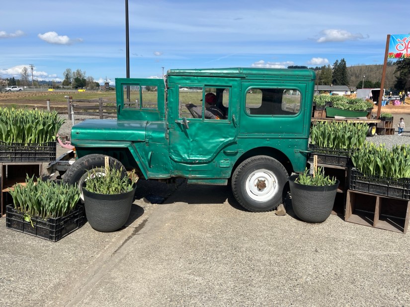 Spring Bloom at Knutson Farms – Redeemingbeautyfamilyadventures