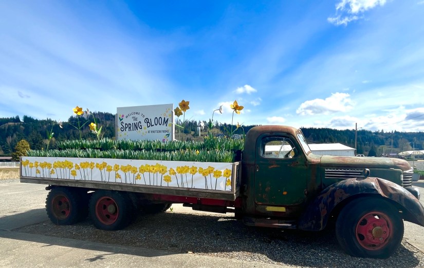 Spring Bloom at Knutson Farms – Redeemingbeautyfamilyadventures