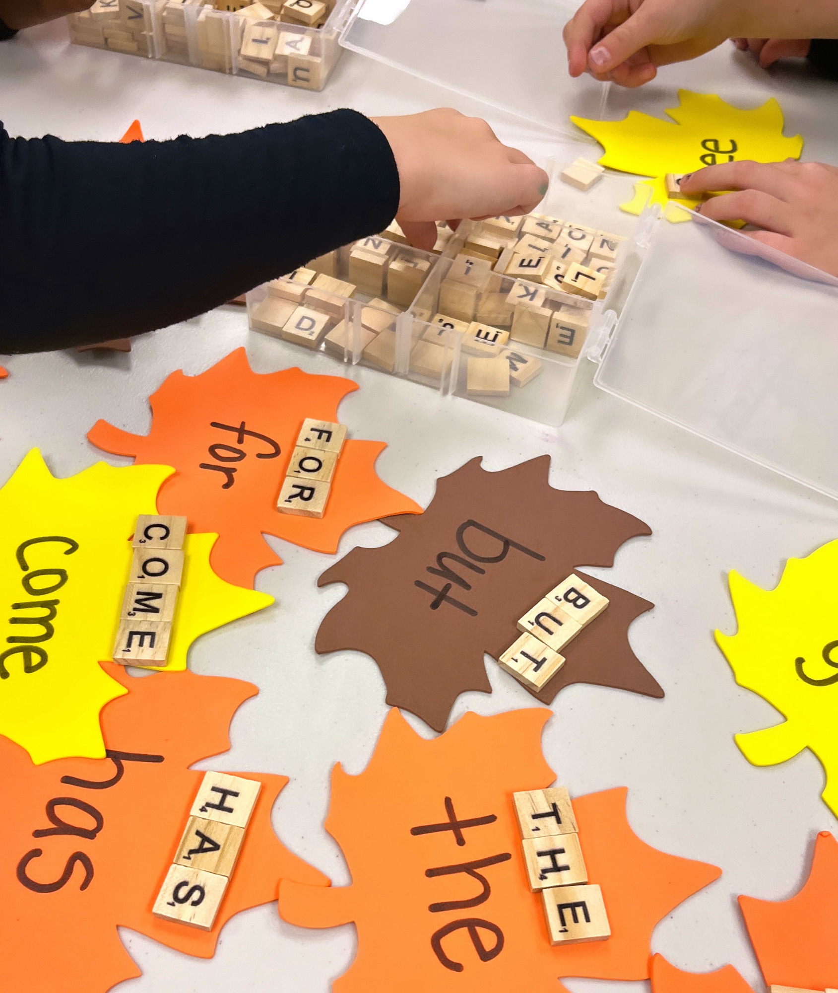 Gathering Words Like Leaves: A Cozy Fall Approach to Sight Words ...