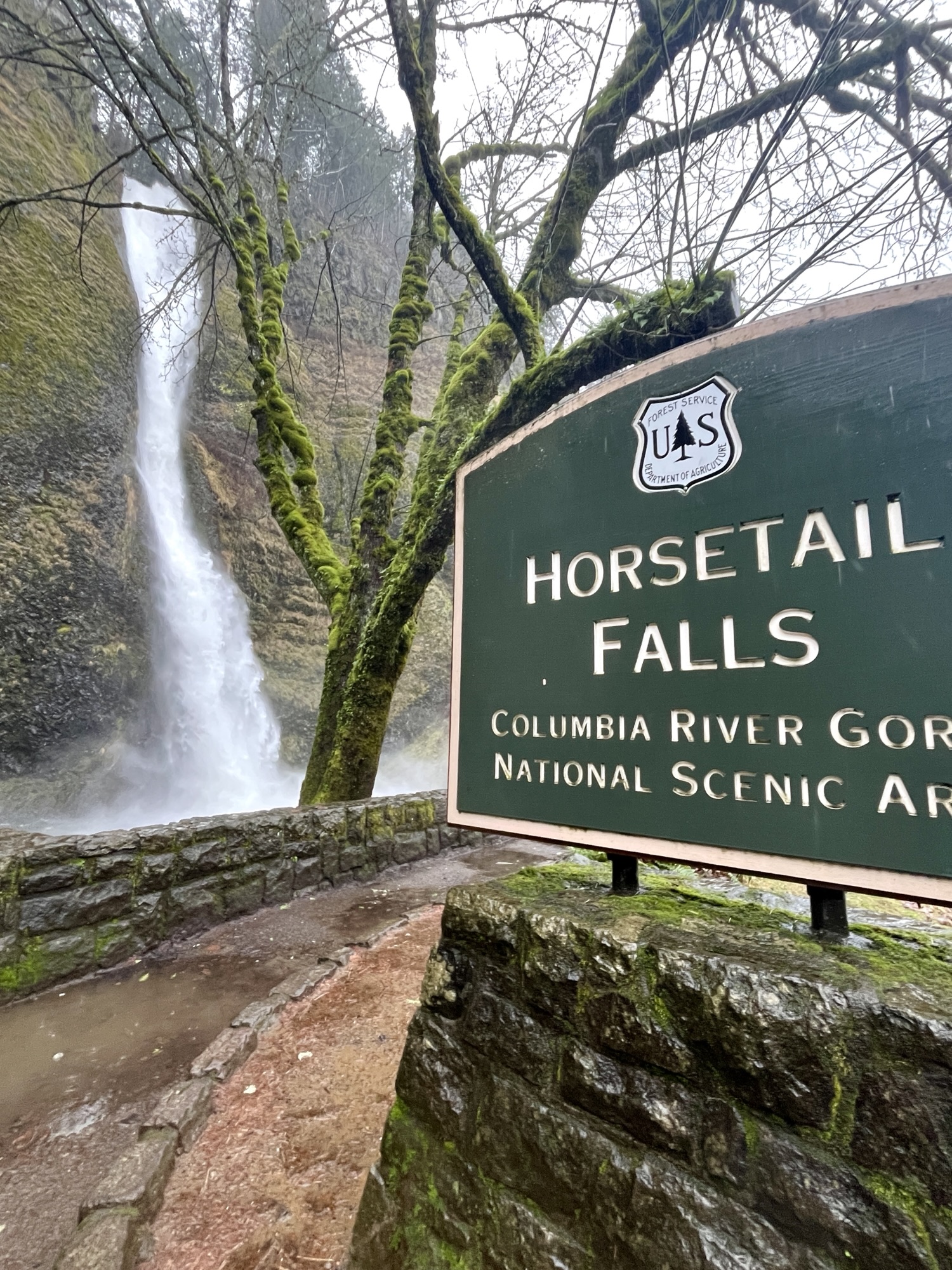 Redeemingbeautyfamilyadventures – Family Adventures • Travel • Disney ...