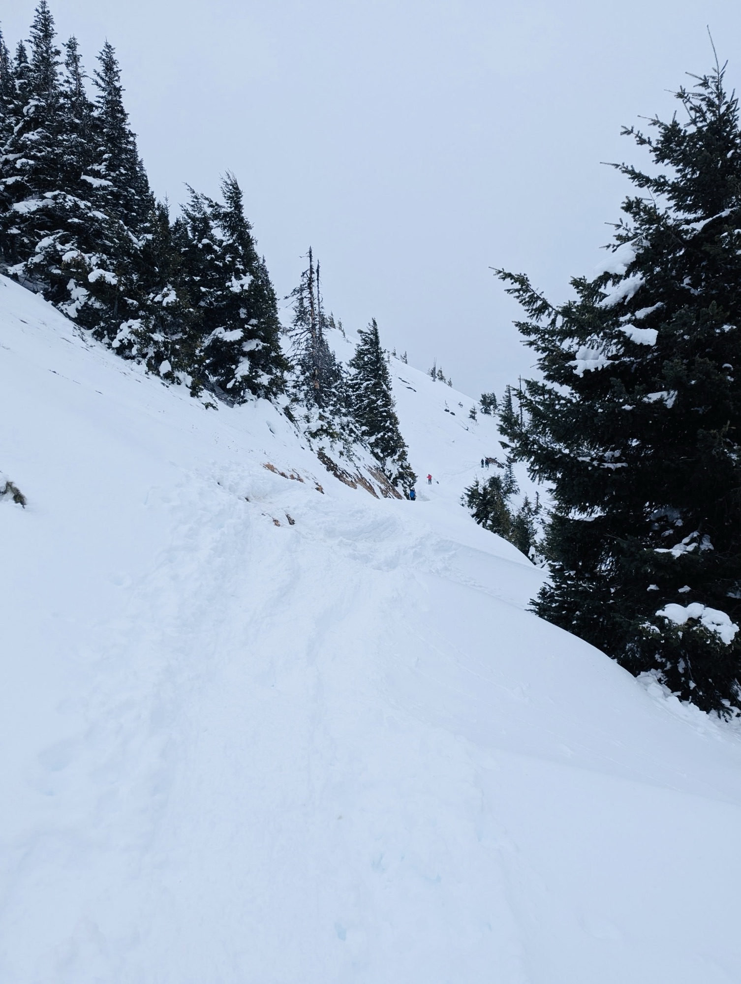 Redeemingbeautyfamilyadventures – Family Adventures • Travel • Disney ...