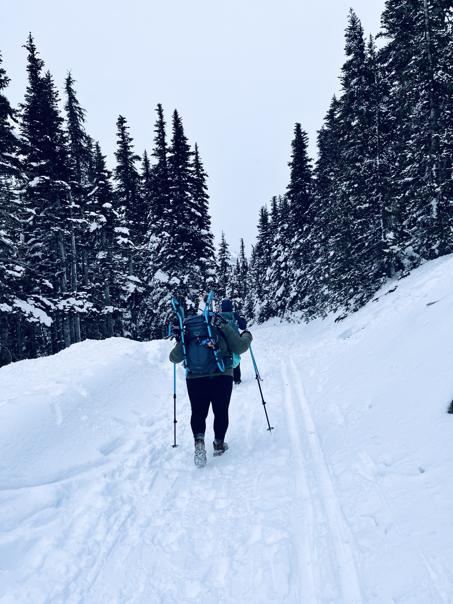 Redeemingbeautyfamilyadventures – Family Adventures • Travel • Disney ...