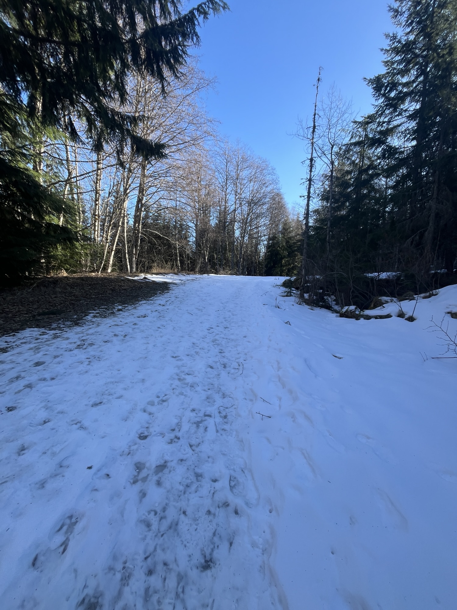 Redeemingbeautyfamilyadventures – Family Adventures • Travel • Disney ...