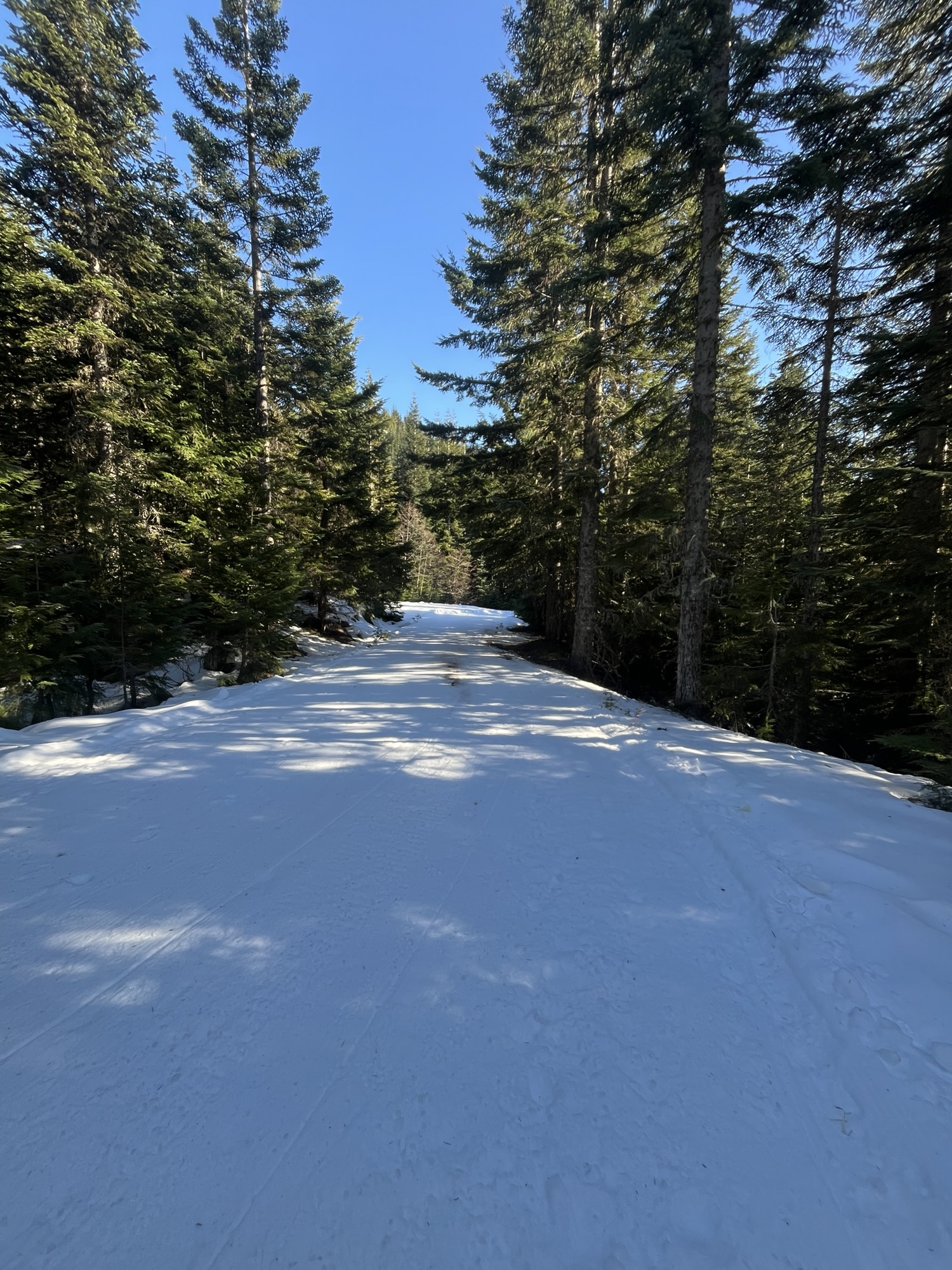 Redeemingbeautyfamilyadventures – Family Adventures • Travel • Disney ...