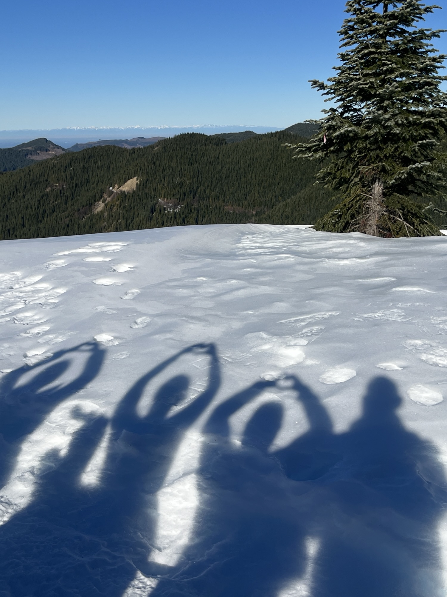 Redeemingbeautyfamilyadventures – Family Adventures • Travel • Disney ...