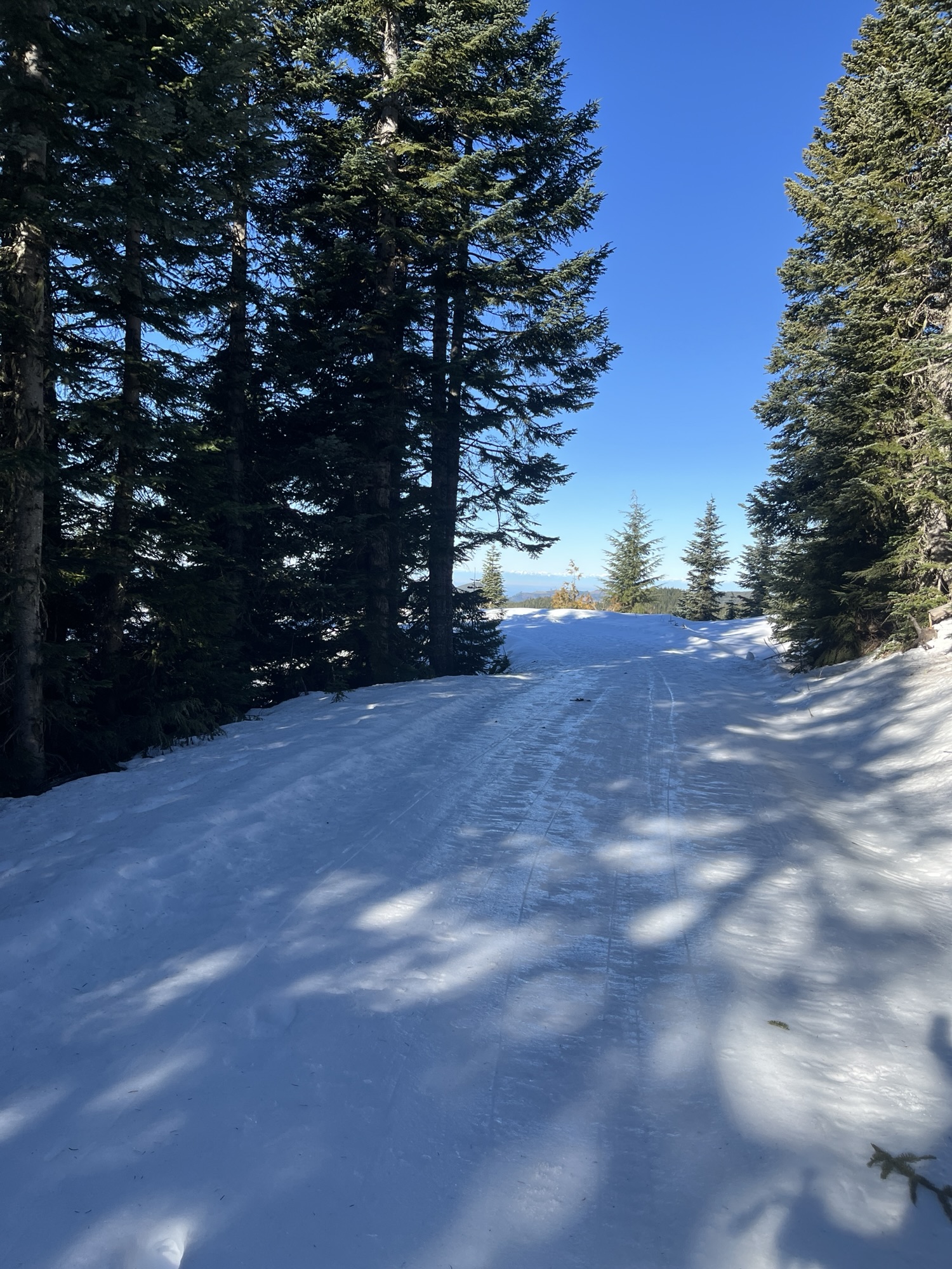 Redeemingbeautyfamilyadventures – Family Adventures • Travel • Disney ...