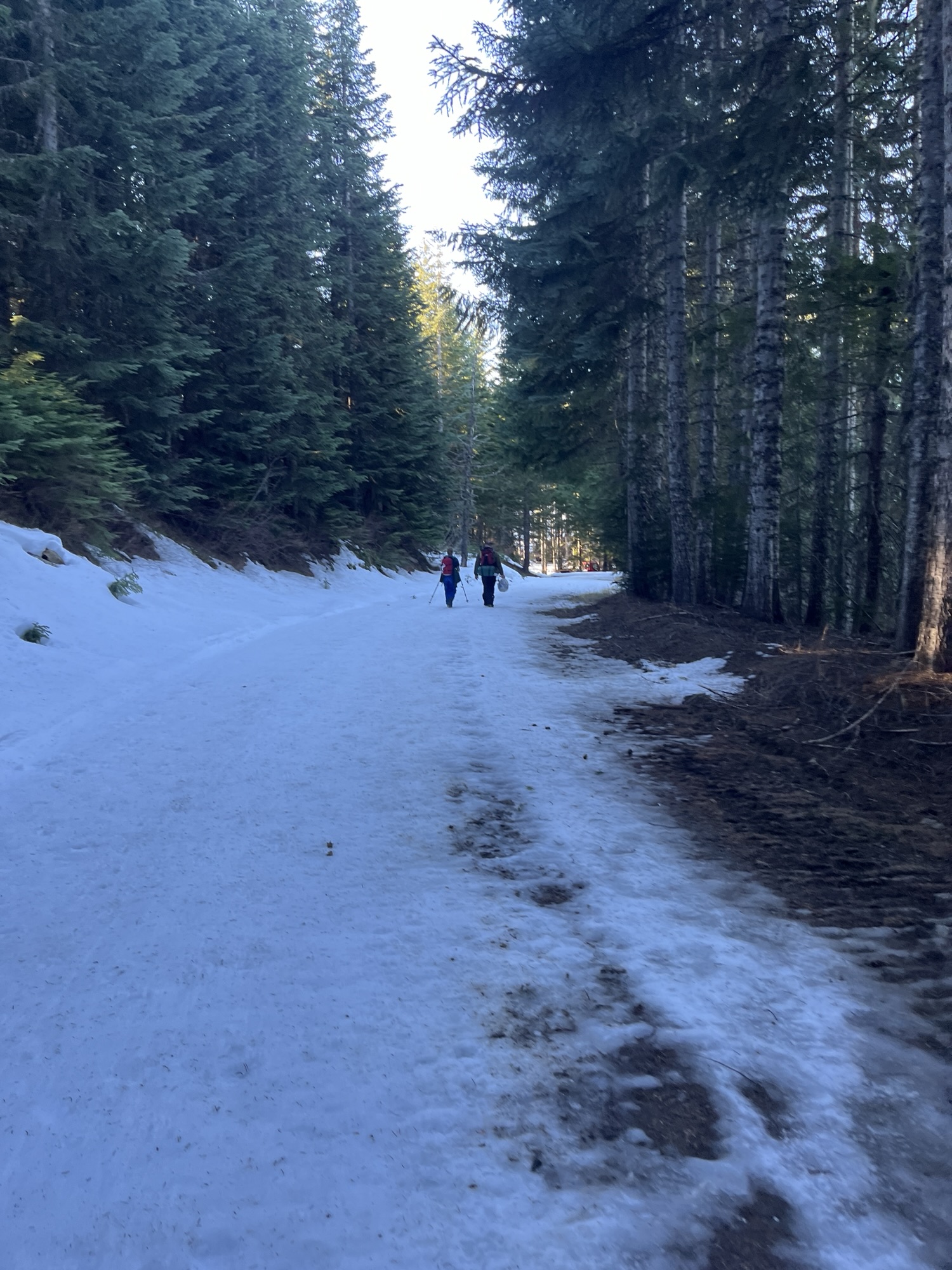 Redeemingbeautyfamilyadventures – Family Adventures • Travel • Disney ...