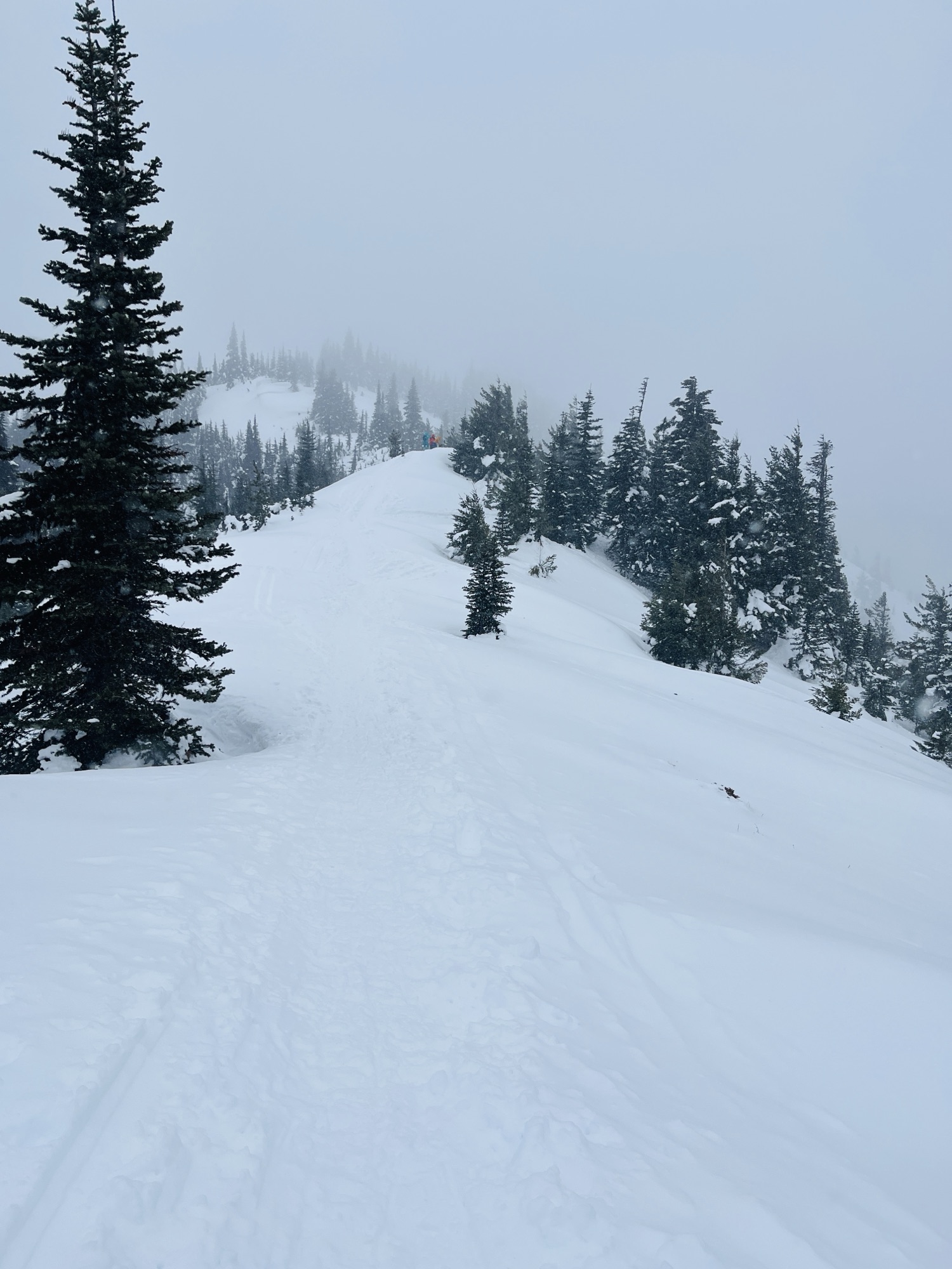 Redeemingbeautyfamilyadventures – Family Adventures • Travel • Disney ...