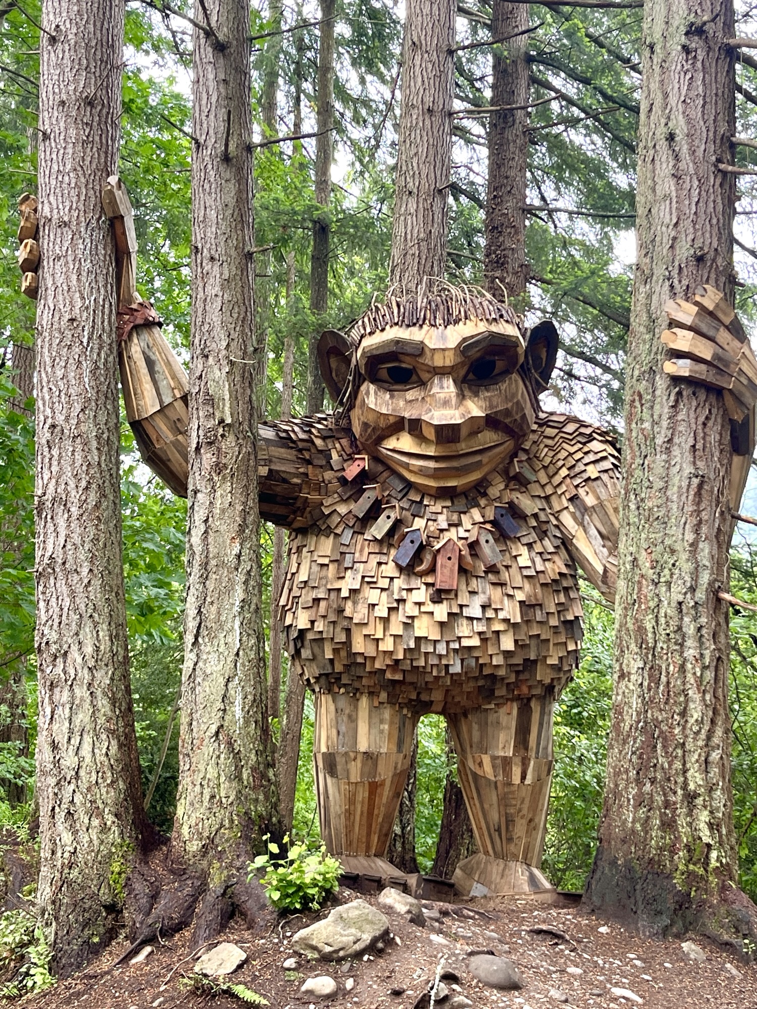 Jakob Two Trees ~Northwest Trolls : Way of the Bird King ...