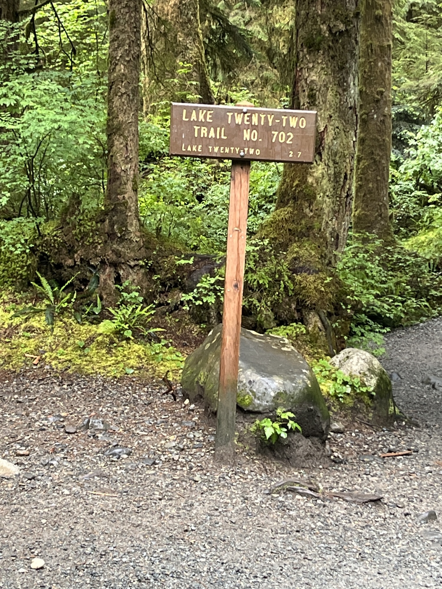 Redeemingbeautyfamilyadventures – Family Adventures • Travel • Disney ...