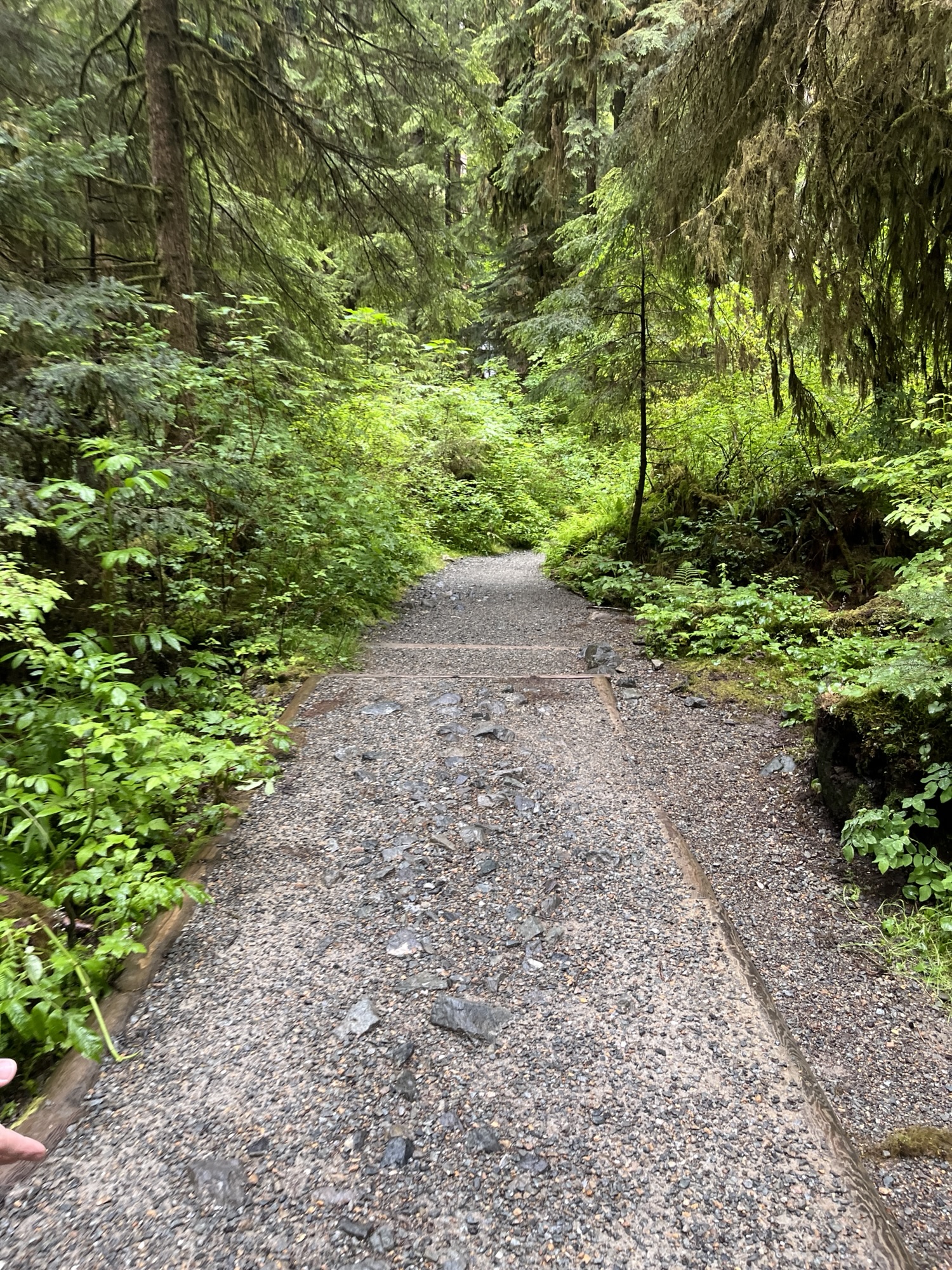 Redeemingbeautyfamilyadventures – Family Adventures • Travel • Disney ...