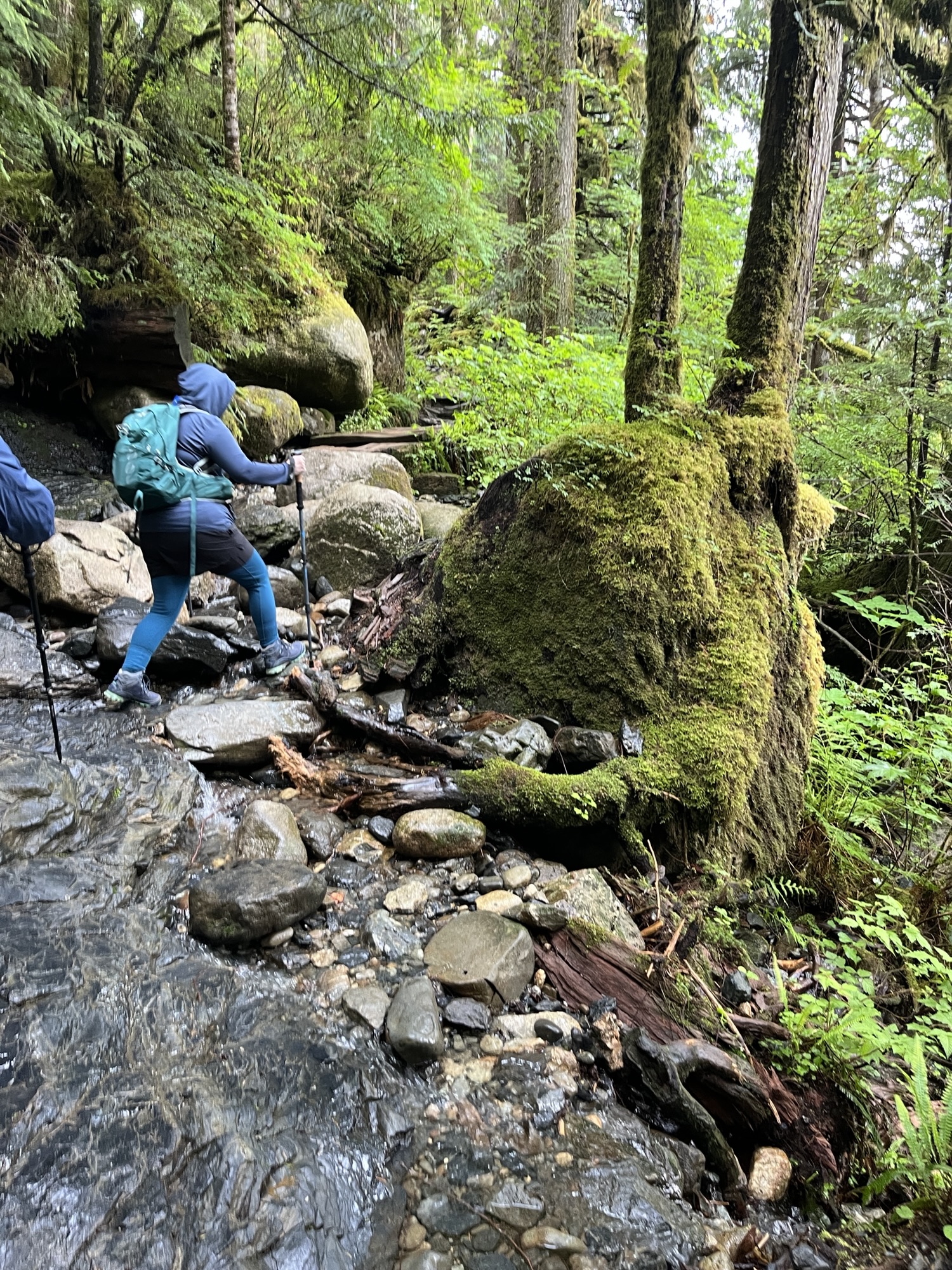 Redeemingbeautyfamilyadventures – Family Adventures • Travel • Disney ...