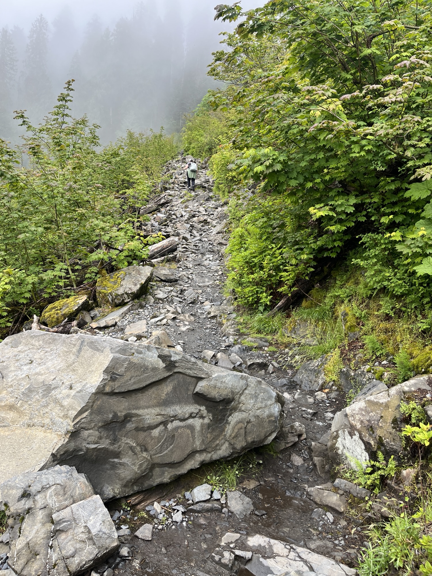 Redeemingbeautyfamilyadventures – Family Adventures • Travel • Disney ...