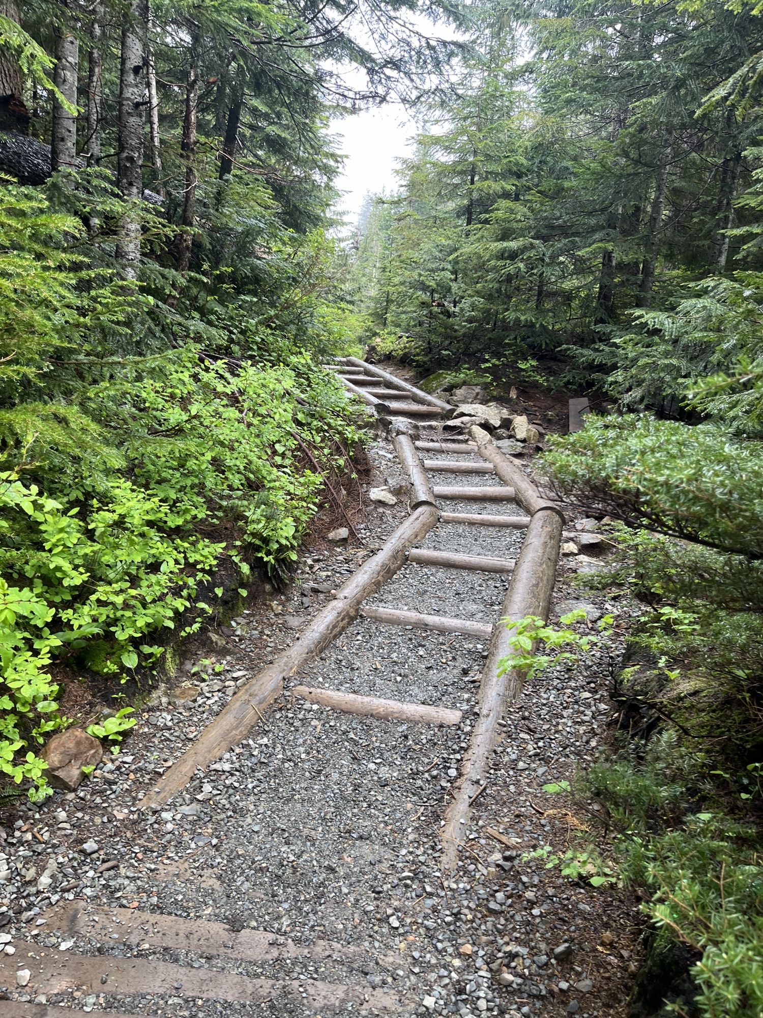 Redeemingbeautyfamilyadventures – Family Adventures • Travel • Disney ...