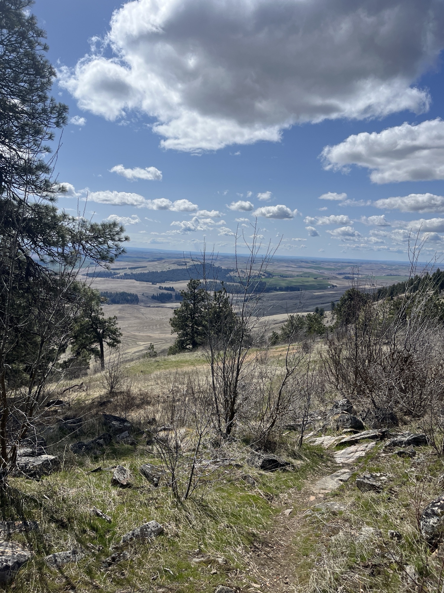 Redeemingbeautyfamilyadventures – Family Adventures • Travel • Disney ...