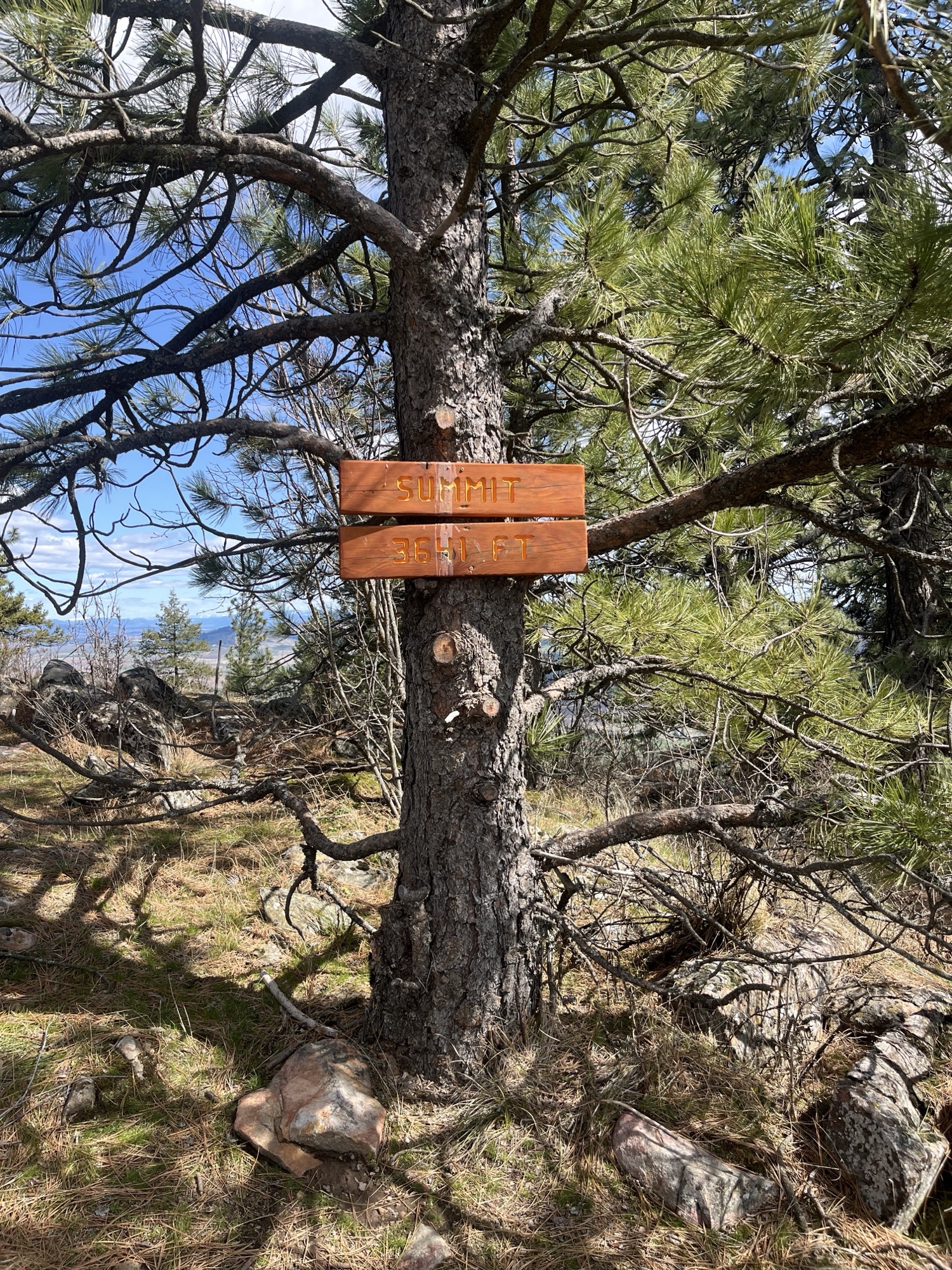 Redeemingbeautyfamilyadventures – Family Adventures • Travel • Disney ...