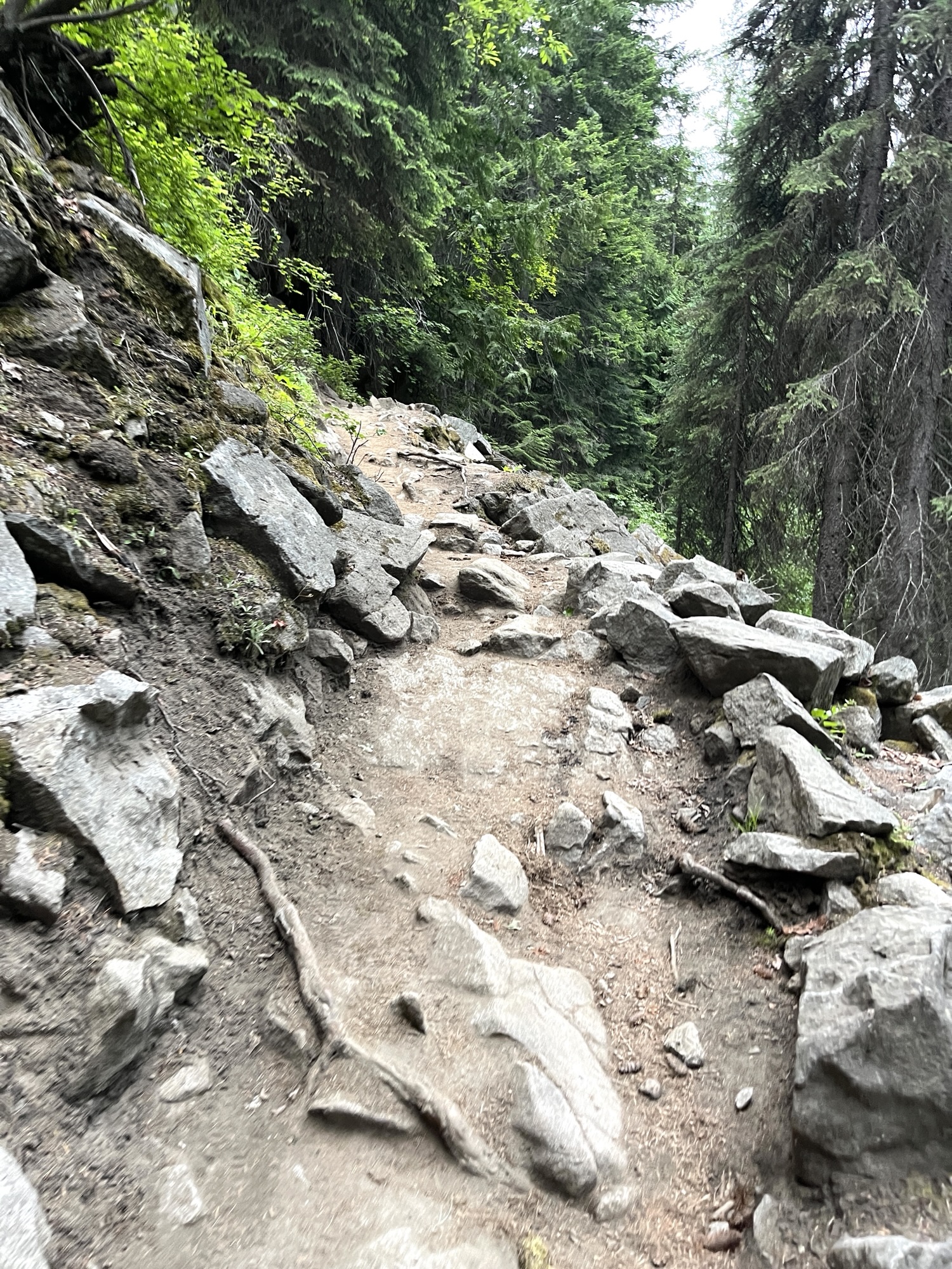 Redeemingbeautyfamilyadventures – Family Adventures • Travel • Disney ...