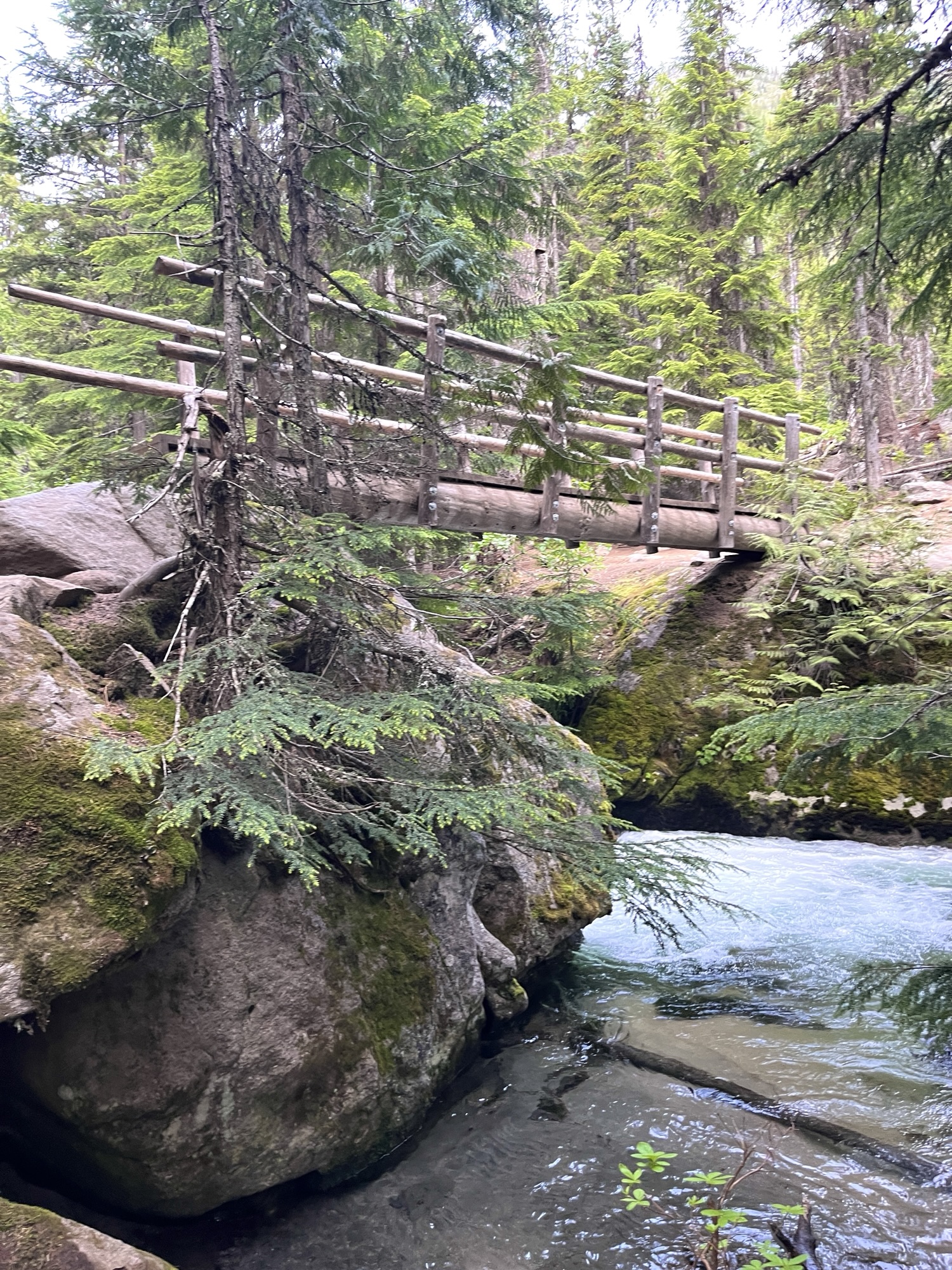 Redeemingbeautyfamilyadventures – Family Adventures • Travel • Disney ...